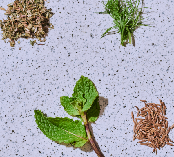 What Are Carminative Herbs? 10 Examples and Benefits