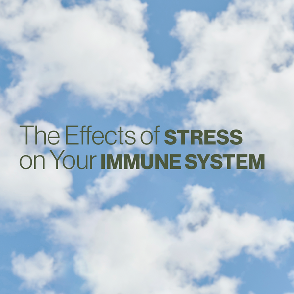 The Effects of Stress on Your Immune System