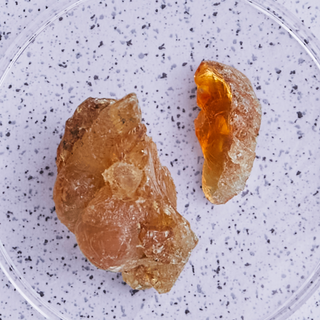 Daily Fiber + Digestive Enzymes